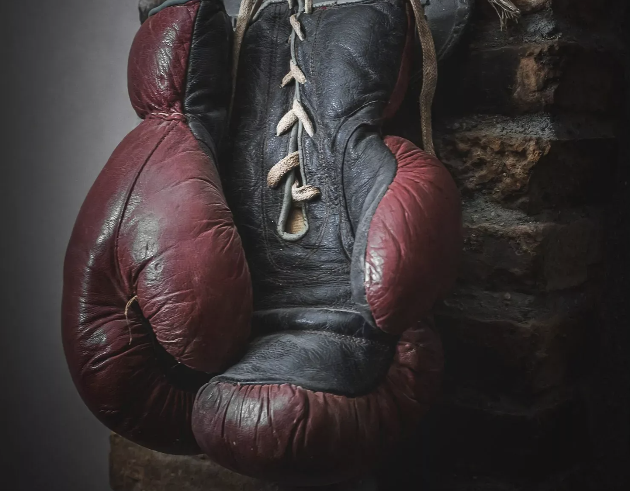 Sport, Meloni: Fdi raccoglie appello palestra audace boxe per salvare ...